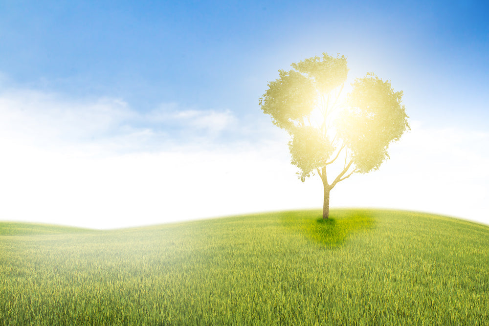 Biodegradable Drug Test Kits – Sustainable Drug Screening – UK Drug Testing